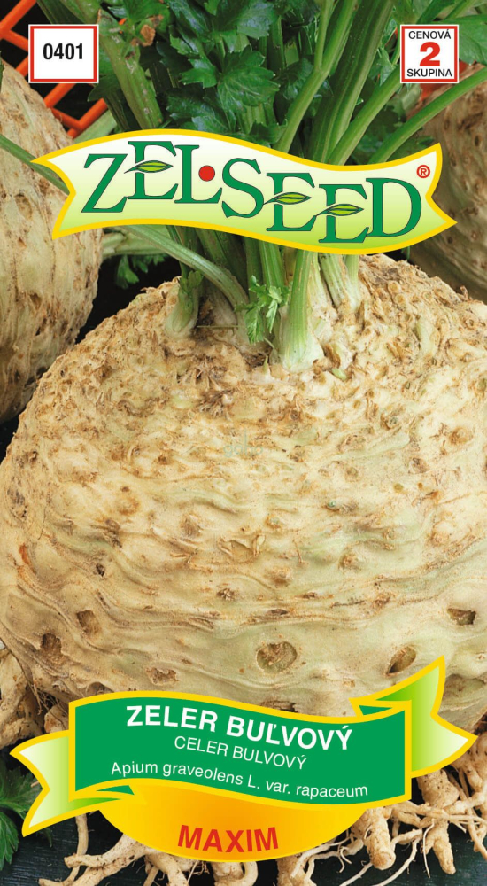 Semena - CELER BULVOVÝ ´MAXIM´ | Lumigreen.cz